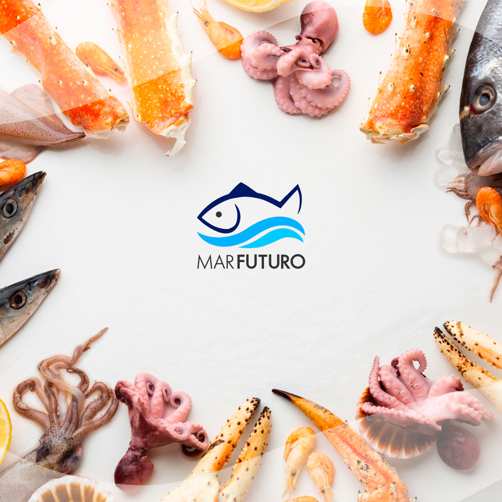 Gracias Contacto - Mar Futuro Chile